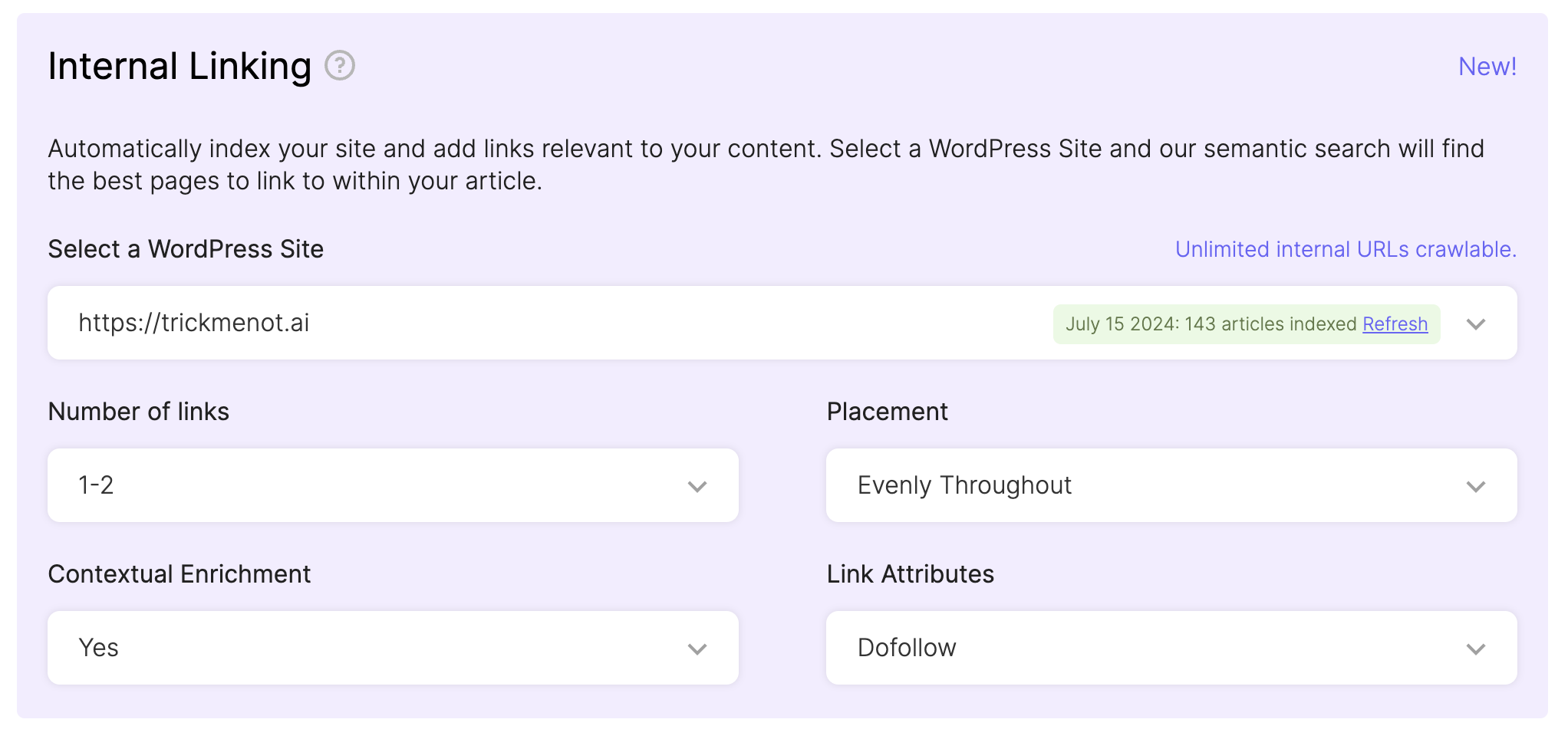 SEOWriting AI Review: Best AI Writer For Beginners! - WordsAtScale